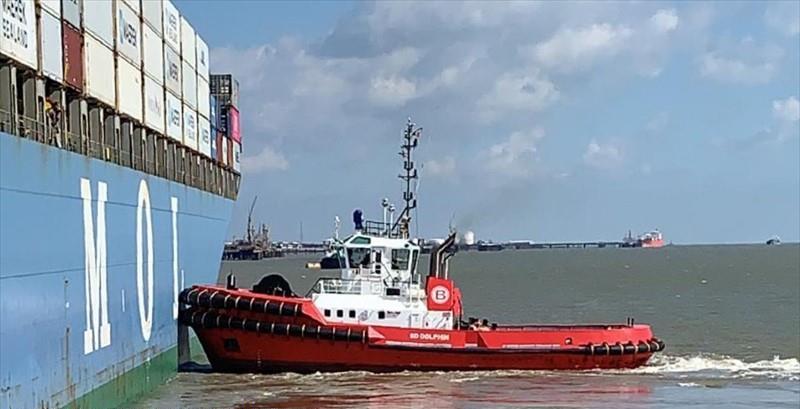 SD DOLPHIN - Vesseljoin