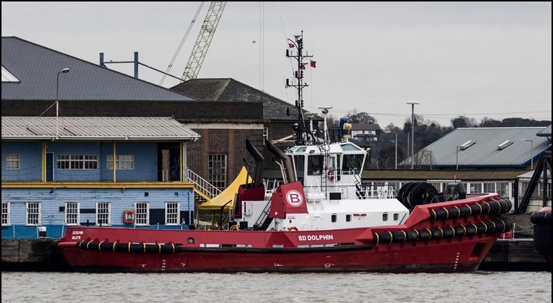 SD DOLPHIN - Vesseljoin