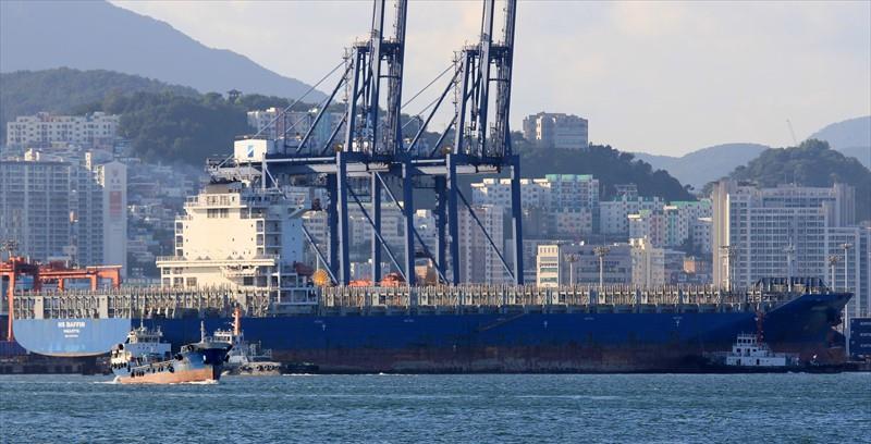 MARATHOPOLIS - Vesseljoin