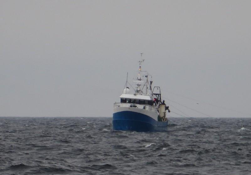 SHEMARA - Vesseljoin