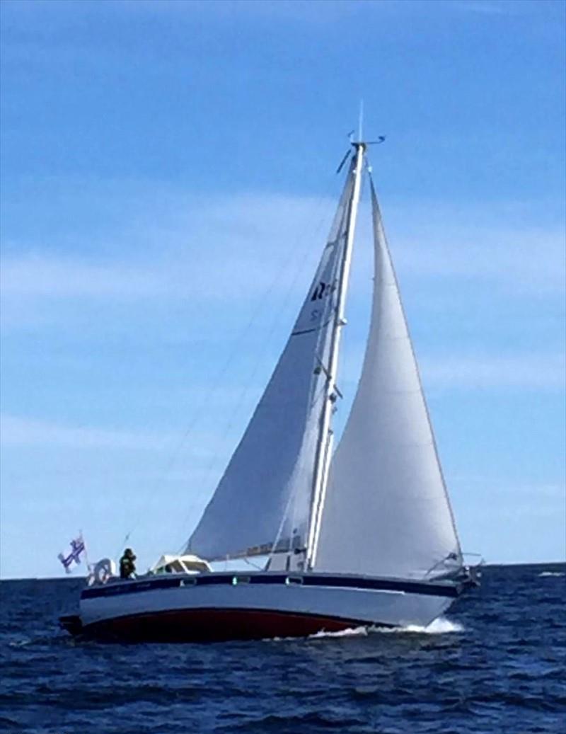 VIOLENTE - Vesseljoin