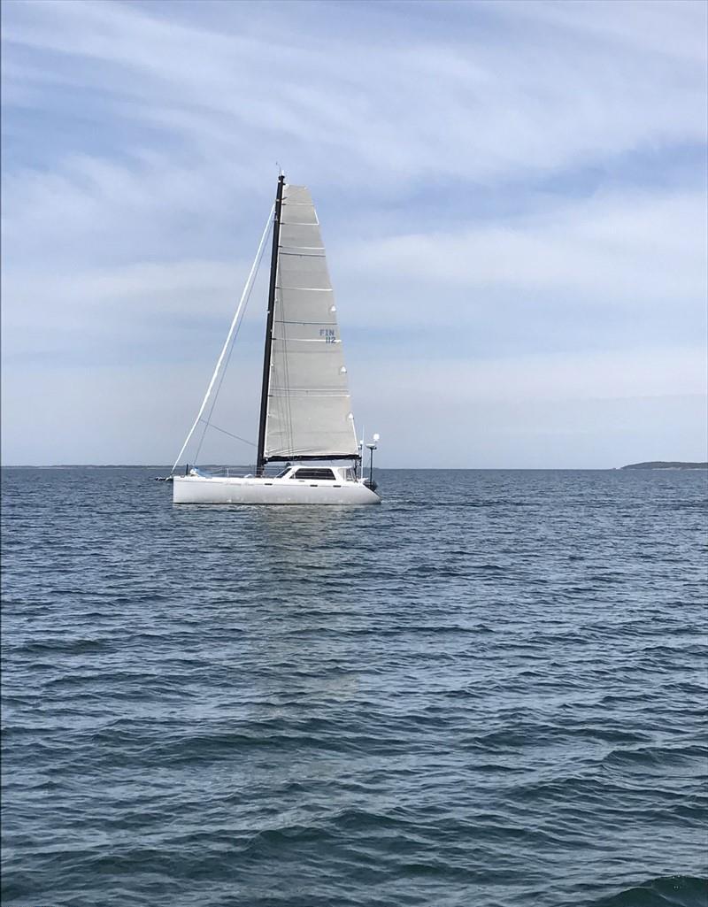 DANCING BEAR - Vesseljoin