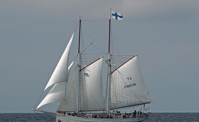 JOANNA SATURNA - Vesseljoin