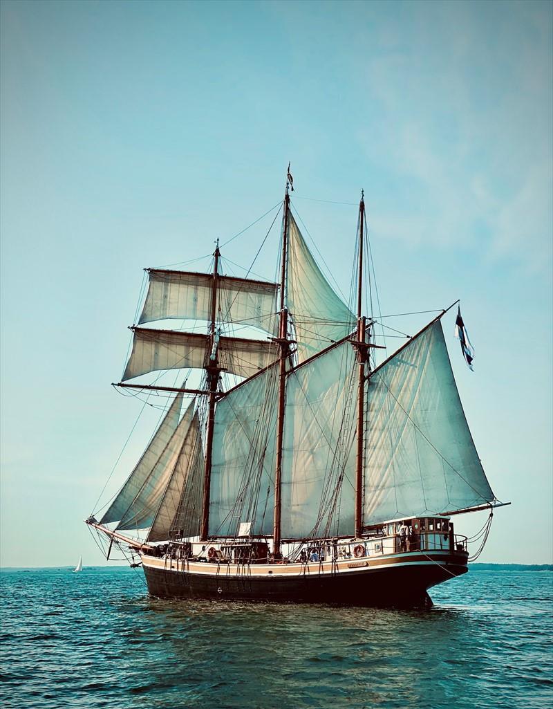 SVANHILD - Vesseljoin