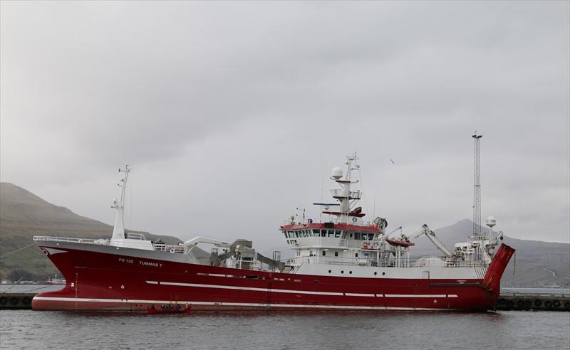 TUMMAS T - Vesseljoin