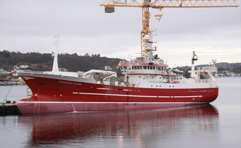 TUMMAS T - Vesseljoin