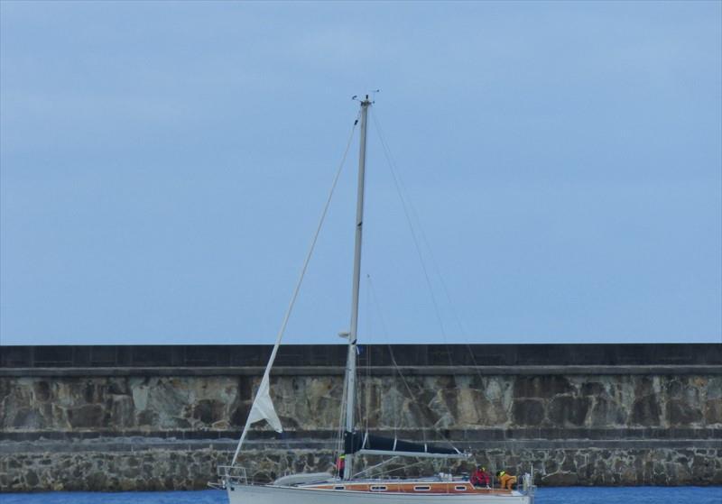 HARRIET MARWOOD - Vesseljoin