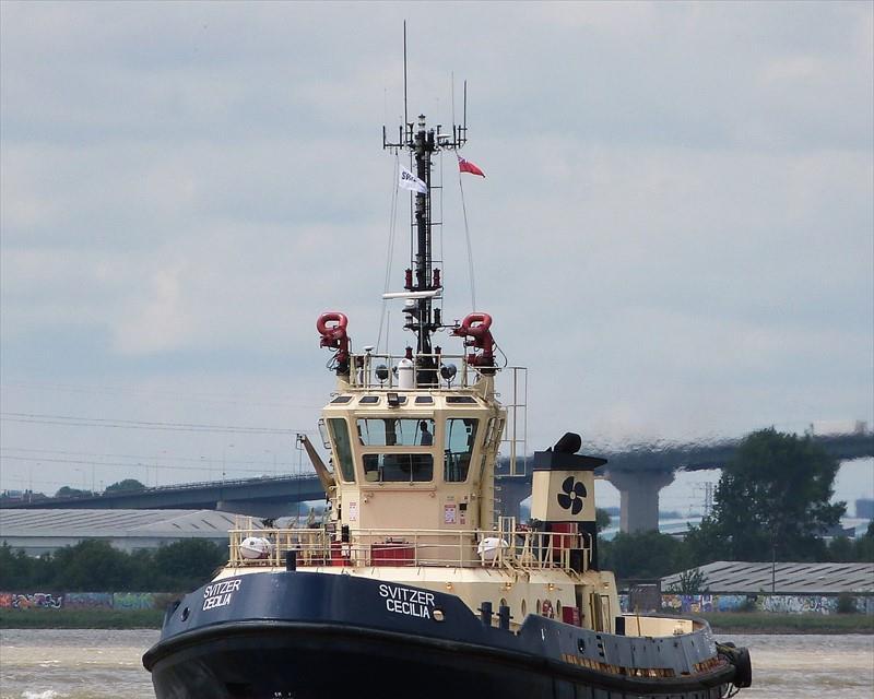 SVITZER CECILIA - Vesseljoin