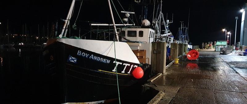 BOY ANDREW - Vesseljoin