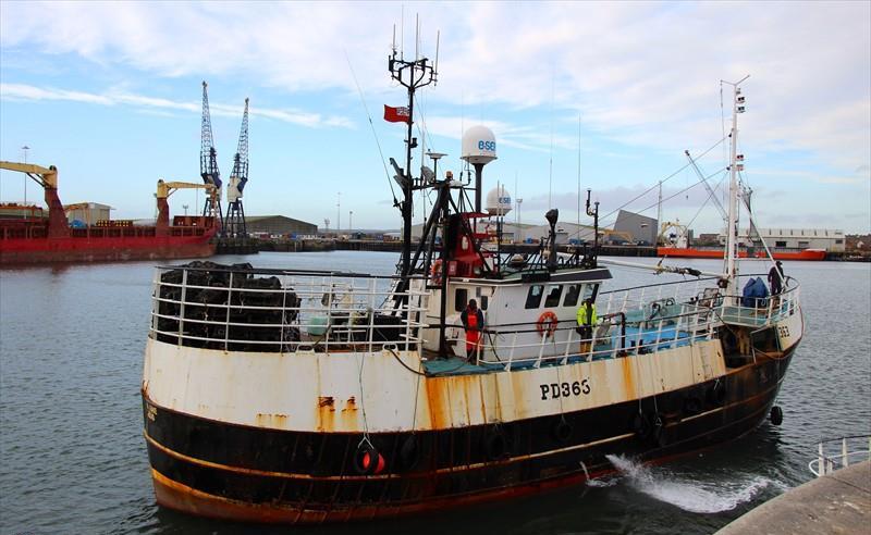 BOY ANDREW - Vesseljoin