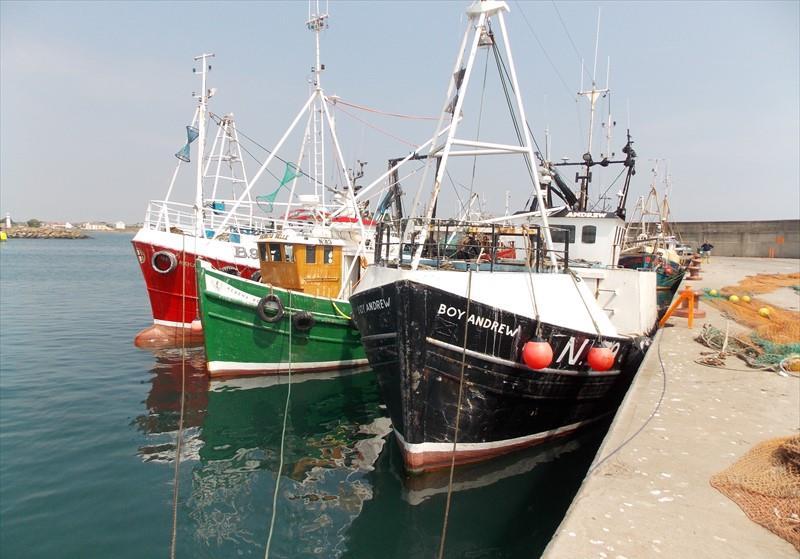 BOY ANDREW - Vesseljoin