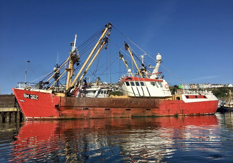 VAN DIJCK - Vesseljoin