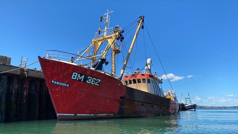 VAN DIJCK - Vesseljoin