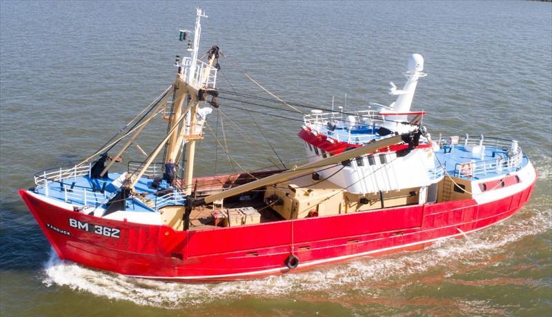 VAN DIJCK - Vesseljoin