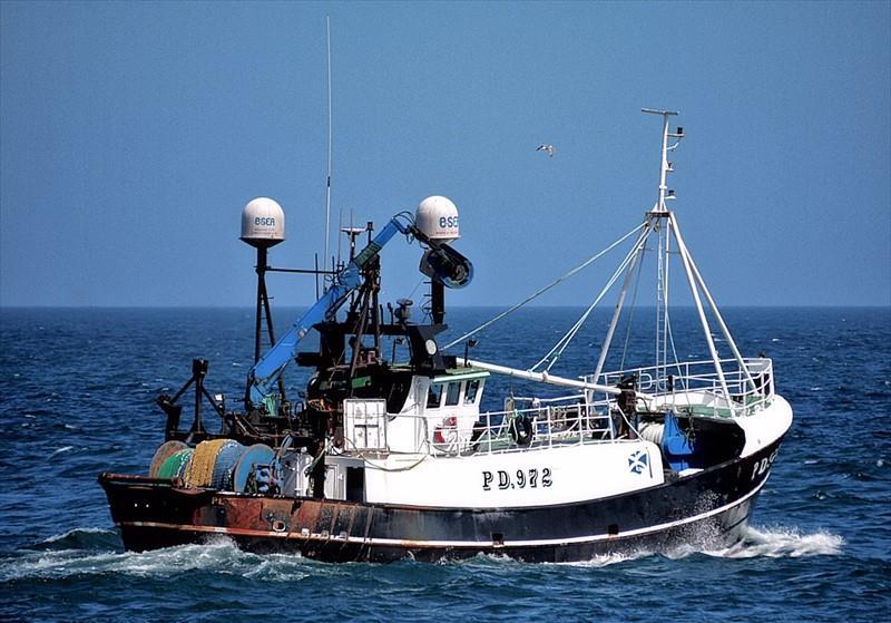 LAPWING - Vesseljoin