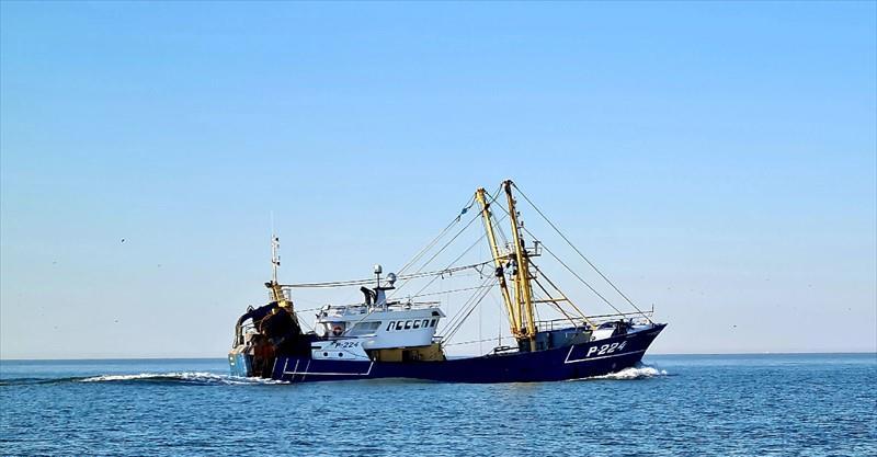 MIRANDA - Vesseljoin