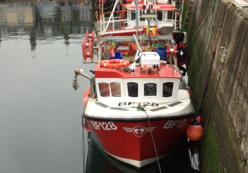 OCEAN LEE - Vesseljoin