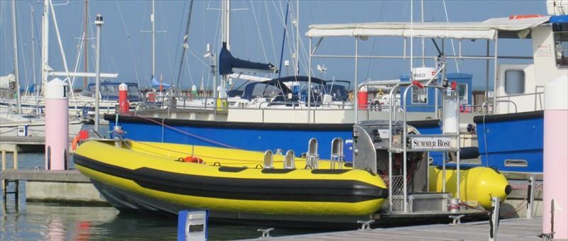 SUMMER ROSE - Vesseljoin