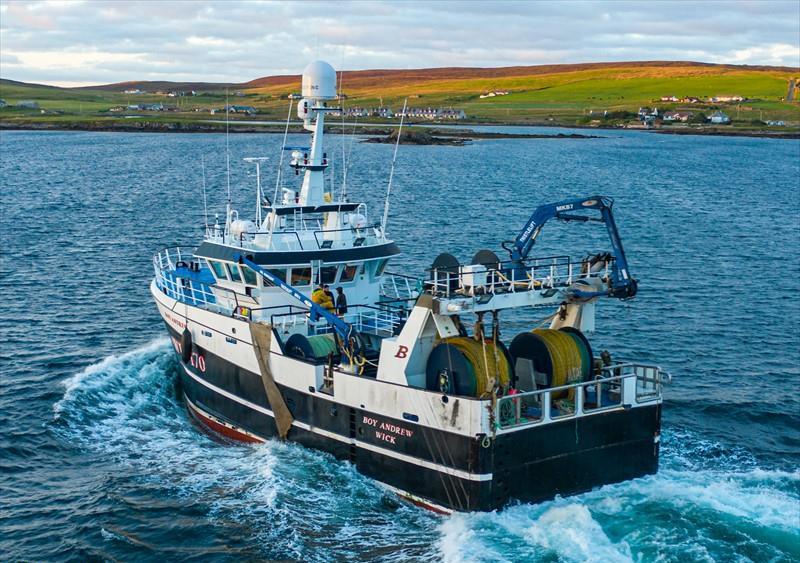 BOY ANDREW - Vesseljoin