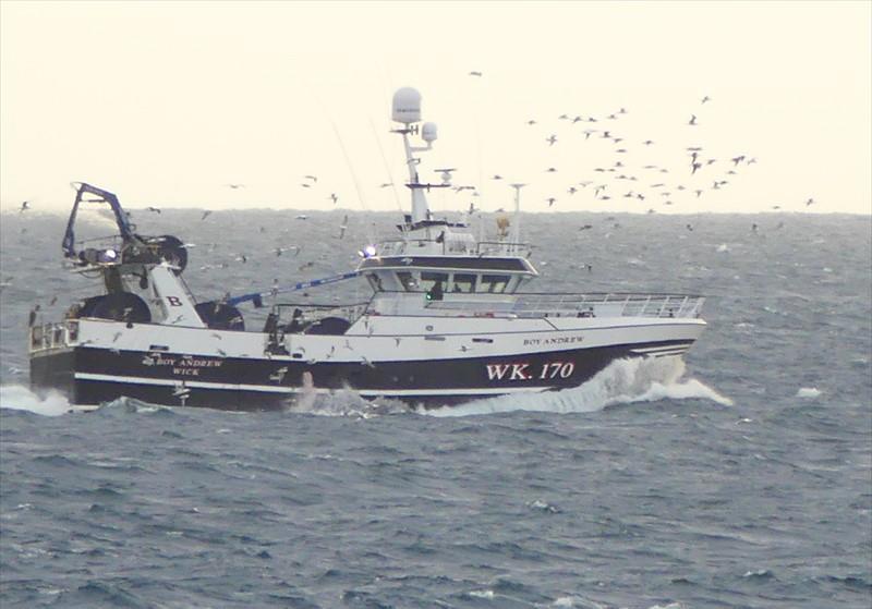 BOY ANDREW - Vesseljoin