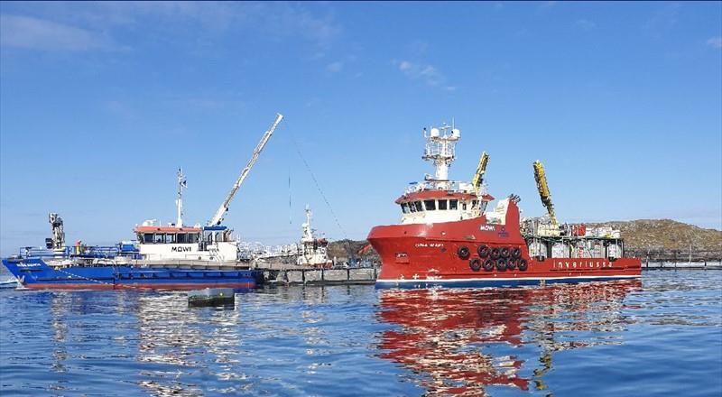 GINA MARY - Vesseljoin