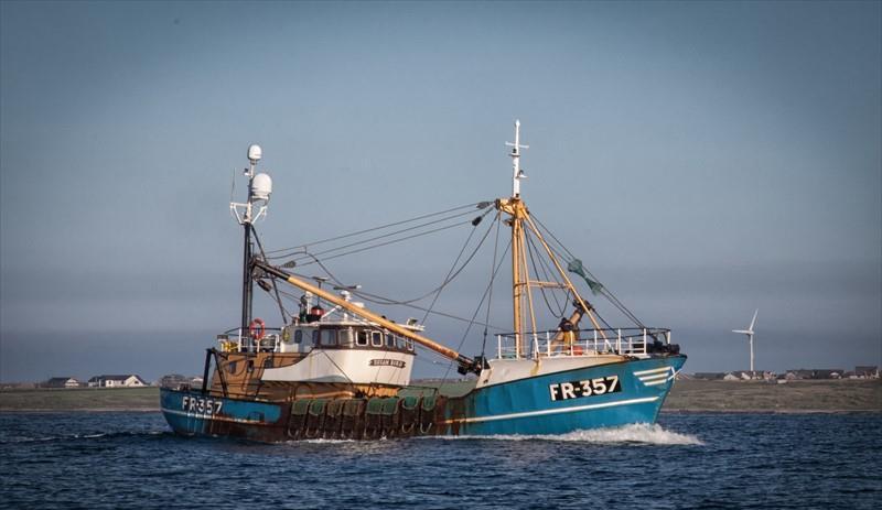 SUSAN BIRD FR357 - Vesseljoin