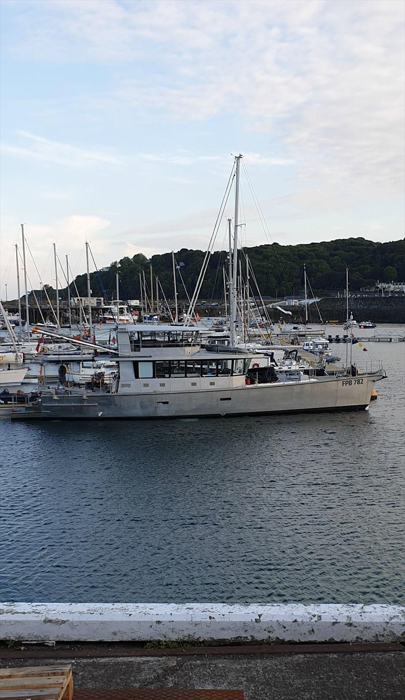 GREY WOLF - Vesseljoin