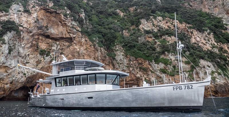 GREY WOLF - Vesseljoin