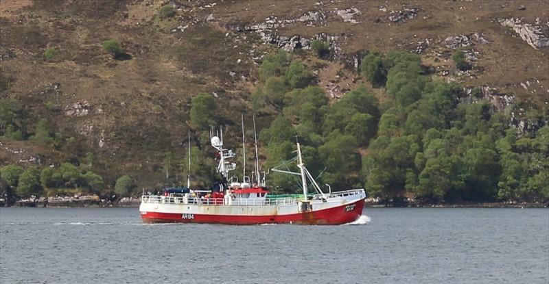 SIR MILES - Vesseljoin