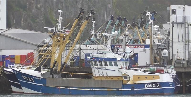 OUR MIRANDA - Vesseljoin