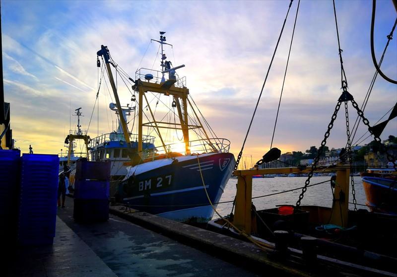 OUR MIRANDA - Vesseljoin