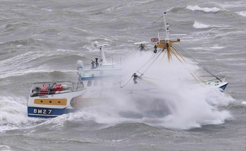 OUR MIRANDA - Vesseljoin