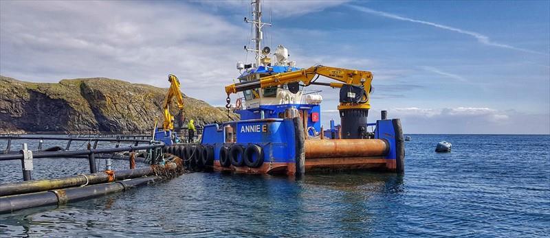 ANNIE E - Vesseljoin