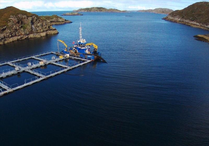 ANNIE E - Vesseljoin