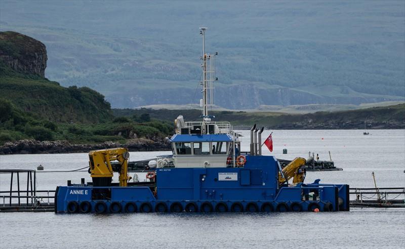 ANNIE E - Vesseljoin