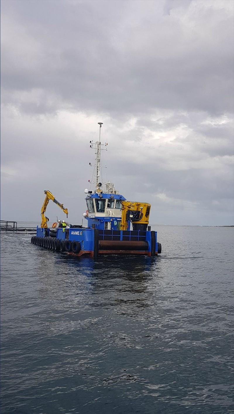 ANNIE E - Vesseljoin