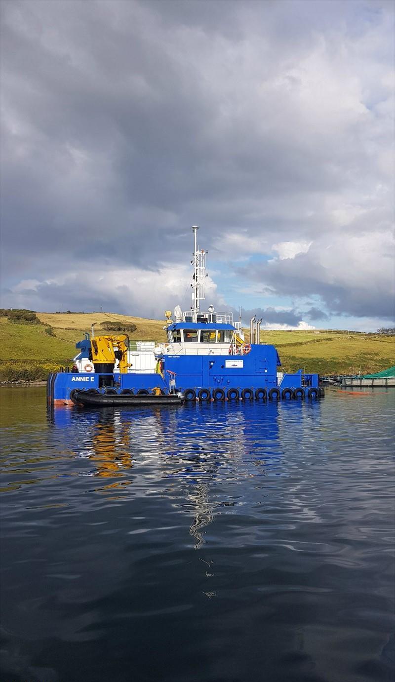 ANNIE E - Vesseljoin