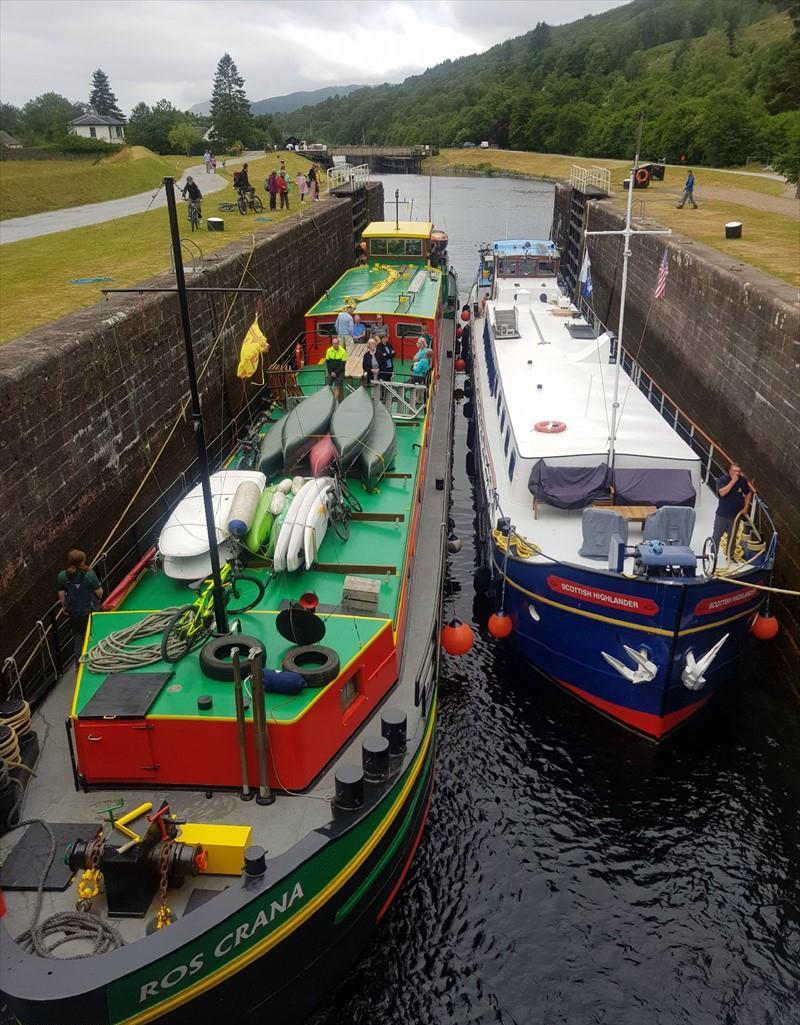 SCOTTISH HIGHLANDER - Vesseljoin