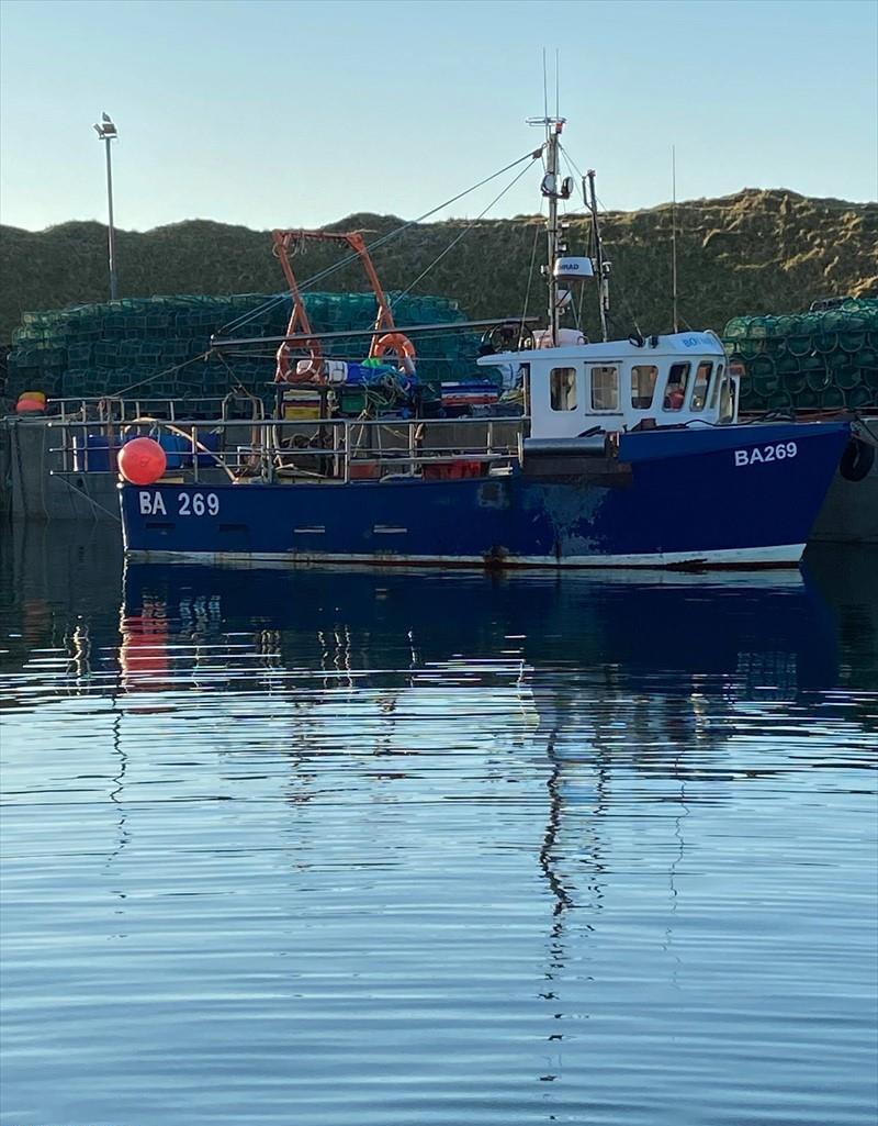 BOY NATHAN BA269 - Vesseljoin