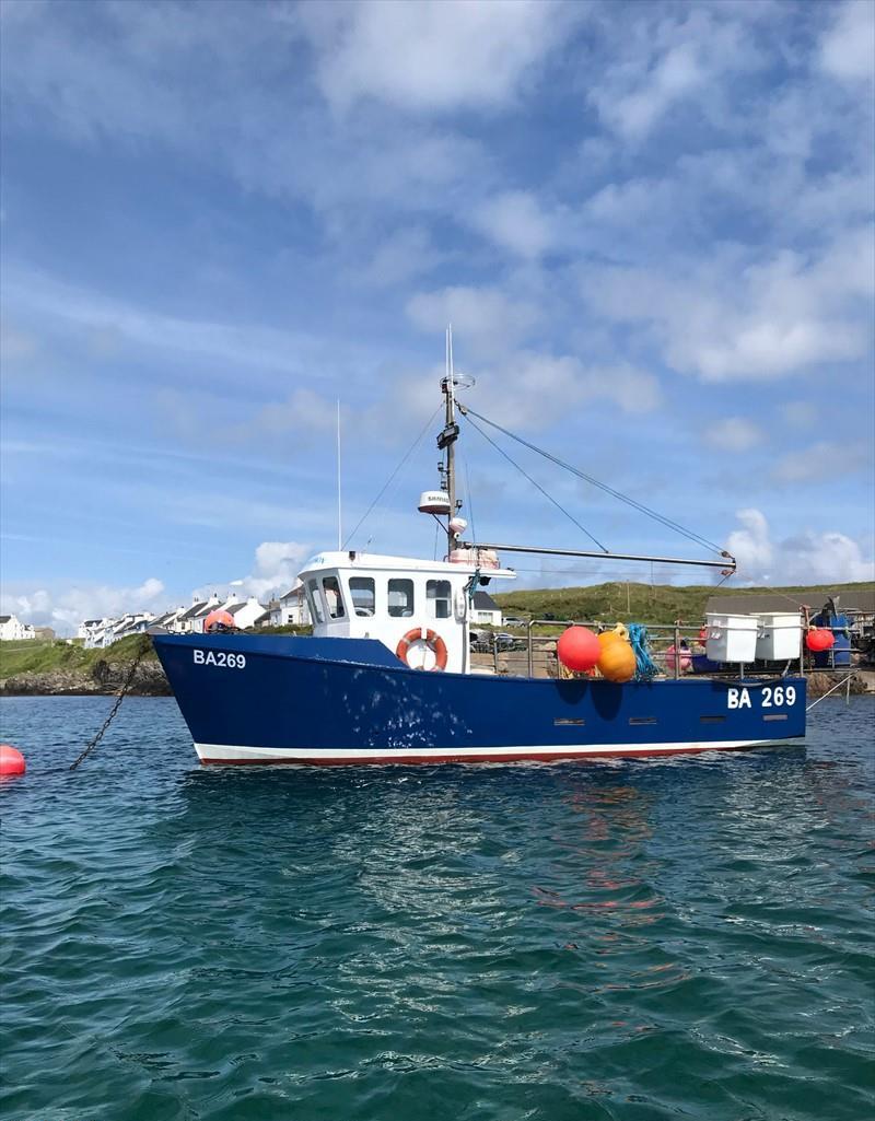 BOY NATHAN BA269 - Vesseljoin