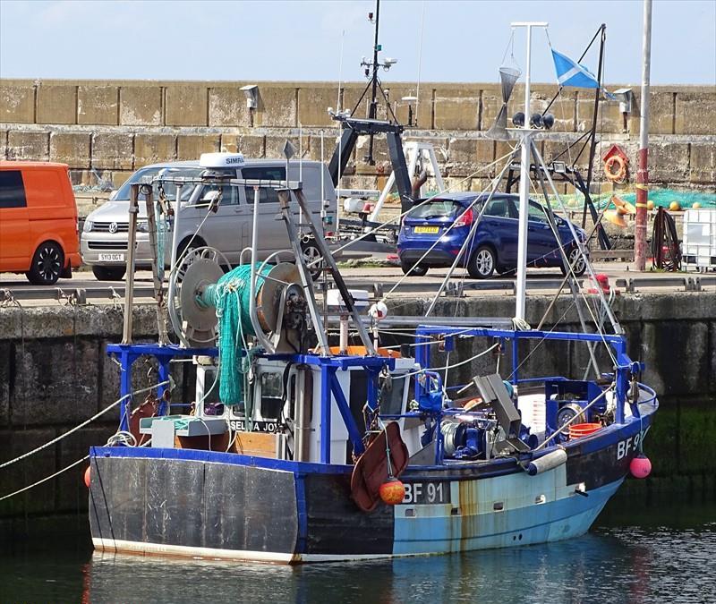 SELINA JOY - Vesseljoin