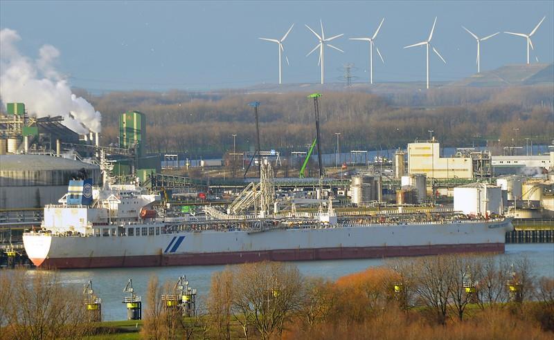 HELLESPONT PROTECTOR - Vesseljoin