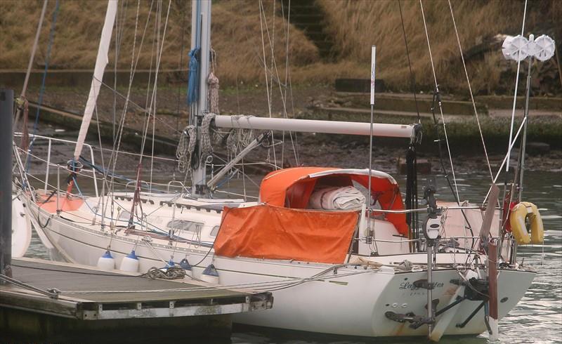 LAZY OTTER - Vesseljoin