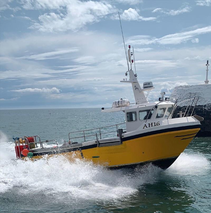 MAVERICK VI - Vesseljoin