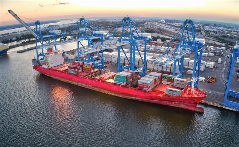 SPIRIT OF SYDNEY - Vesseljoin