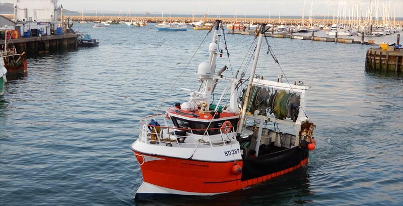 OUR DAVID GEORGE - Vesseljoin