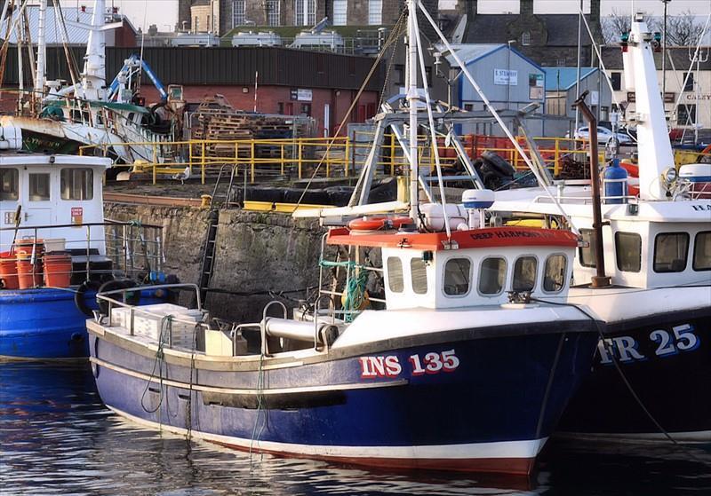 DEEP HARMONY IV - Vesseljoin