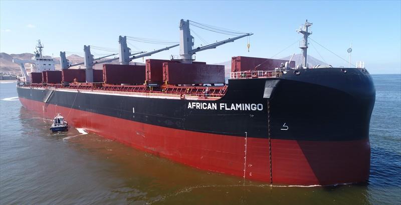 AFRICAN FLAMINGO - Vesseljoin