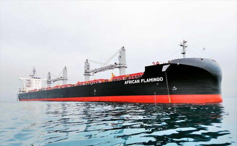 AFRICAN FLAMINGO - Vesseljoin