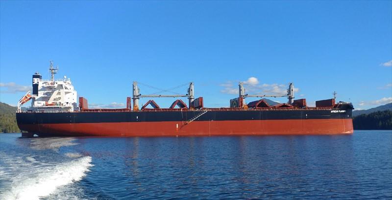 AFRICAN FLAMINGO - Vesseljoin